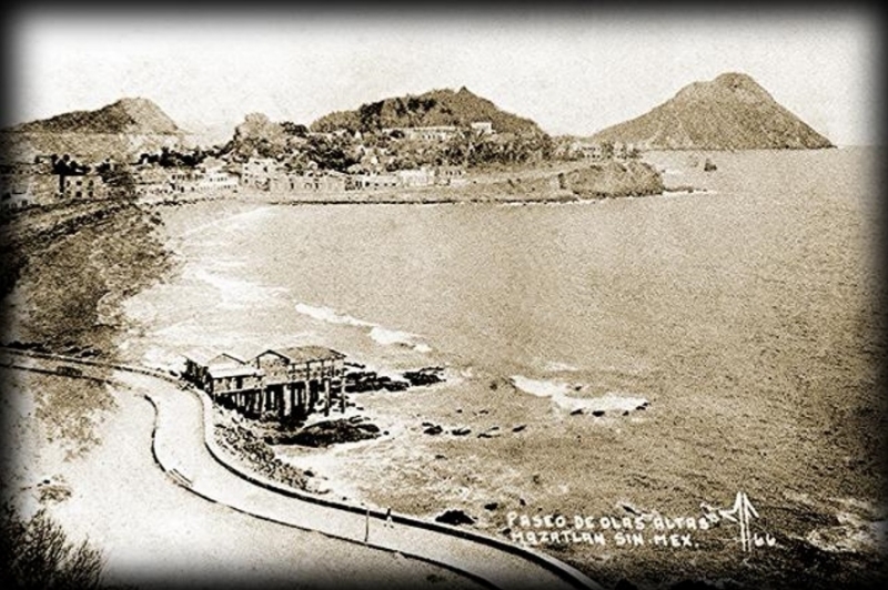 Carpa Olivera, del esplendor al olvido | Son Playas