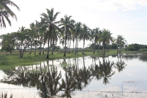 Escuinapa mostrará su belleza natural | Son Playas