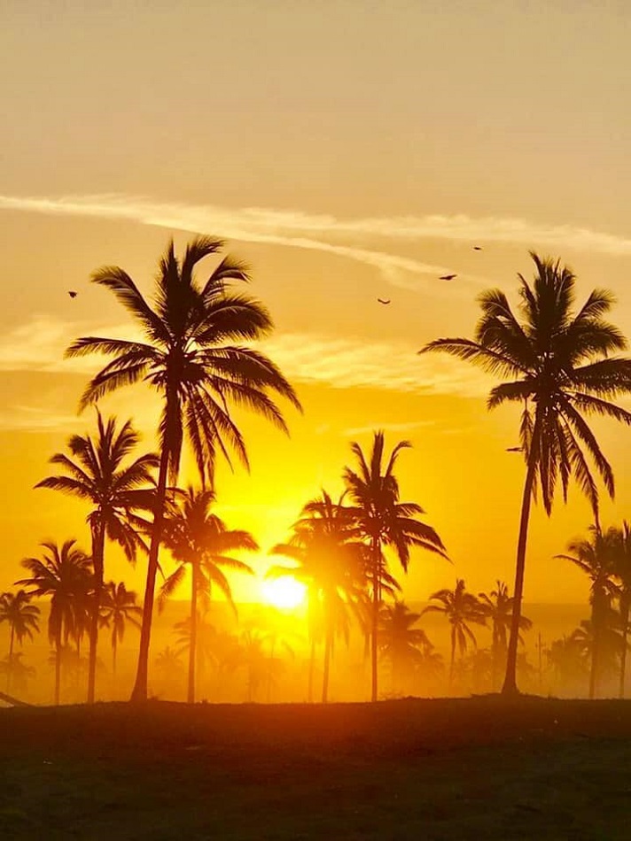 Cierran playas en Escuinapa por crisis sanitaria | Son Playas