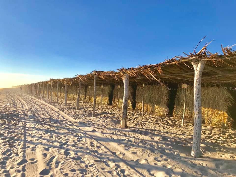 Cierran playas en Escuinapa por crisis sanitaria | Son Playas