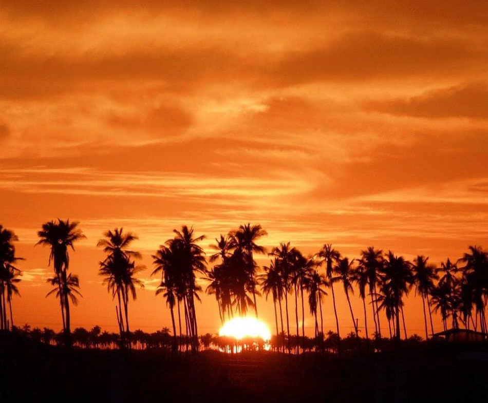 Cierran playas en Escuinapa por crisis sanitaria | Son Playas