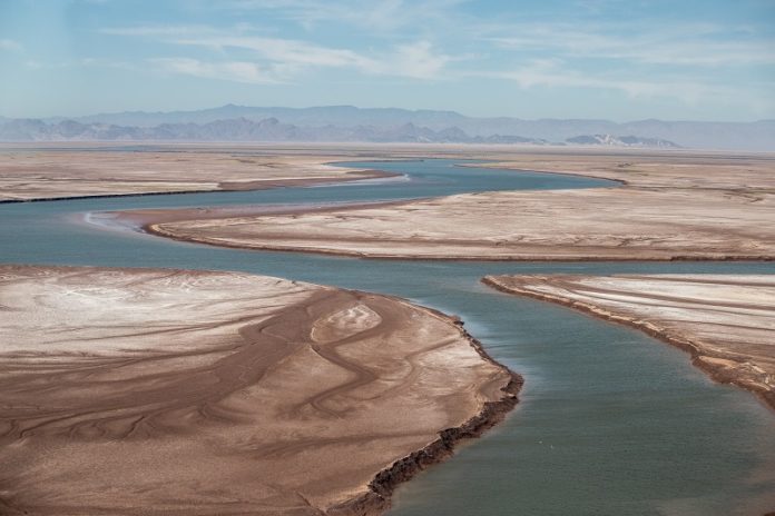 El río Colorado revive y los ecosistemas se recuperan | Son Playas