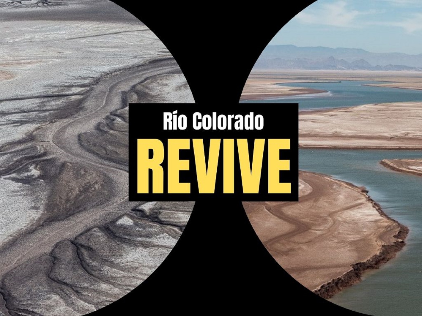 El río Colorado revive y los ecosistemas se recuperan | Son Playas