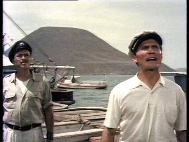 Una conversación con el Pechocho, el delfín de Topolobampo | Son Playas