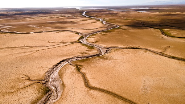 El estuario del río Colorado que lucha por existir | Son Playas