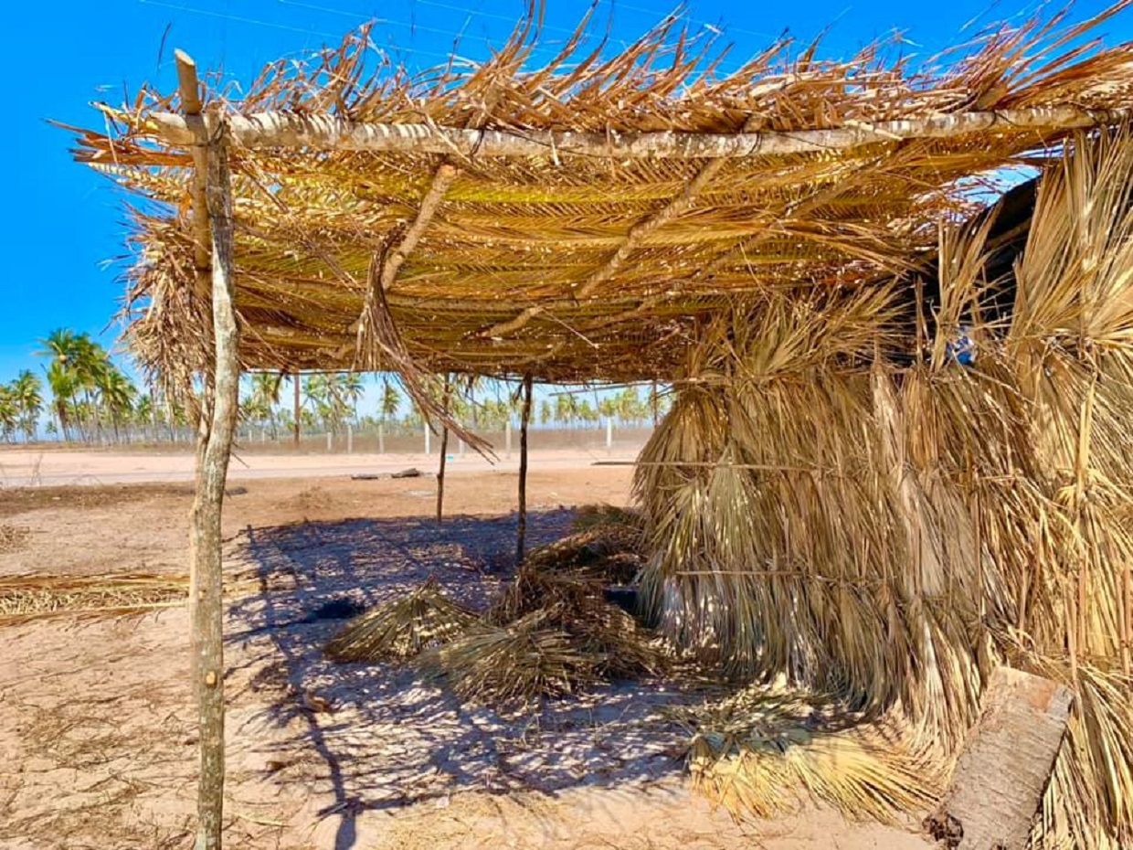 La Fiesta del Mar de las Cabras ¿Una tradición de origen prehispánico ...