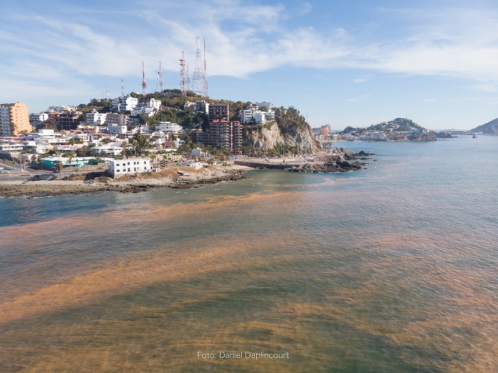 Marea roja cubre bahía de Mazatlán; es bioluminiscente | Son Playas