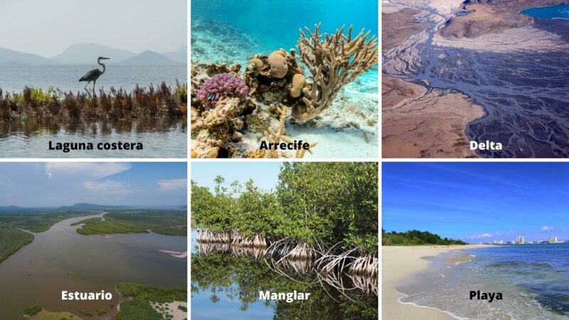 Hablemos de... la zona costera | Son Playas