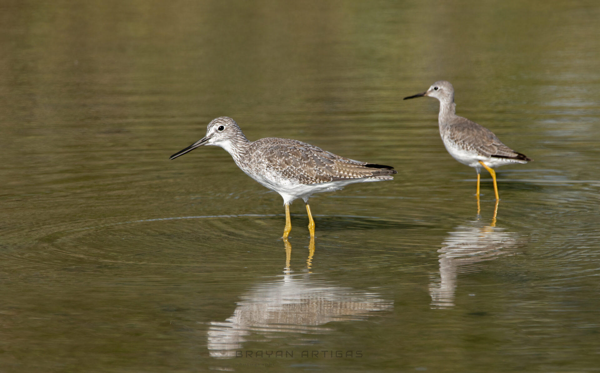 Se declarará nueva Área Natural Protegida en terrenos del CIP Playa ...