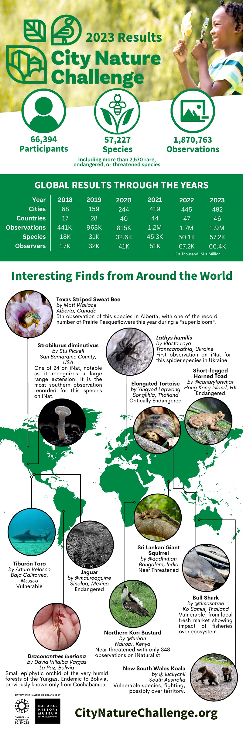 Mazatlán, Cosalá y Monterrey en el top 5 del City Nature Challenge ...