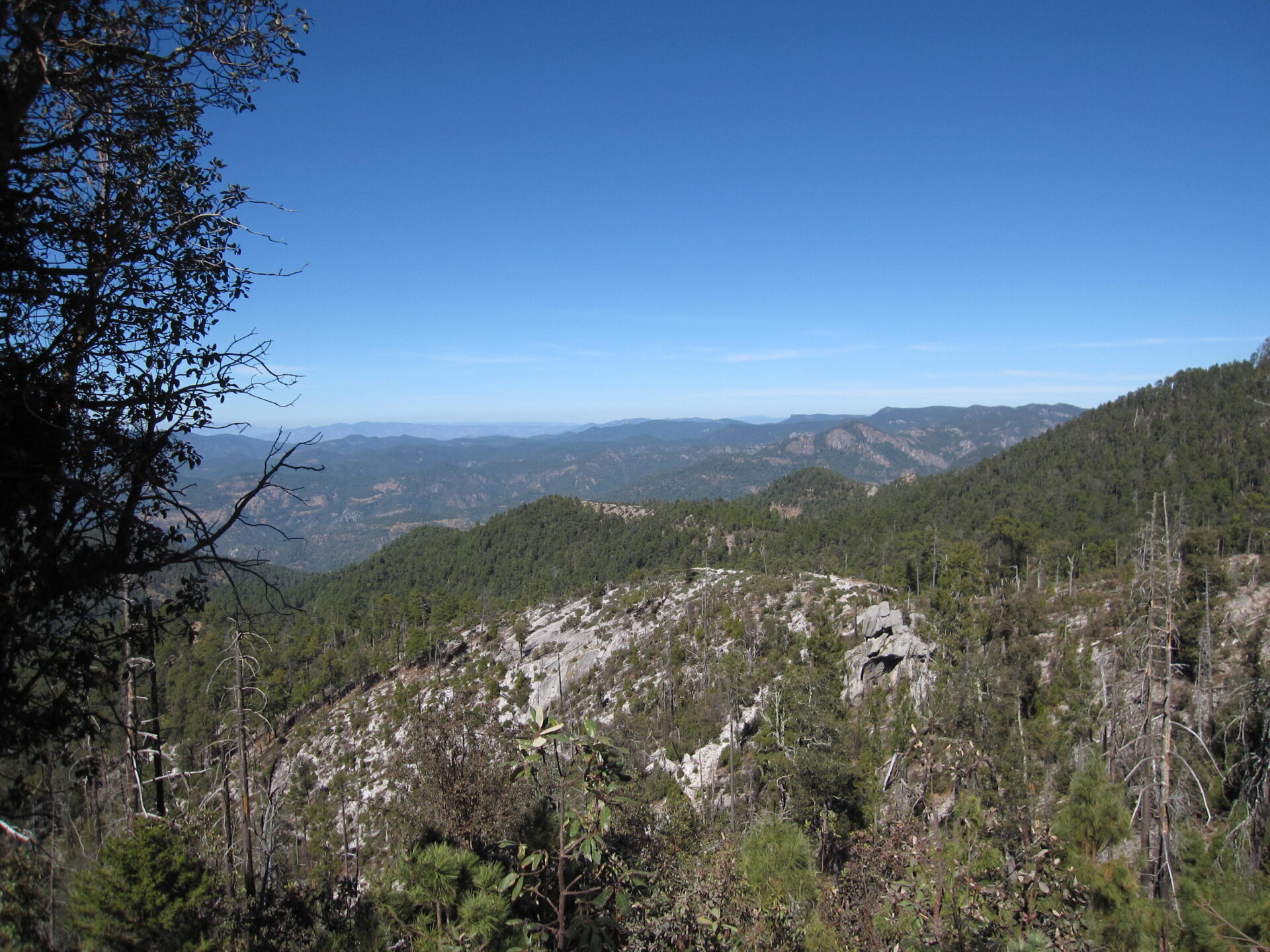Los antiguos habitantes de la sierra del sur de Sinaloa. Ni tan fieros ...