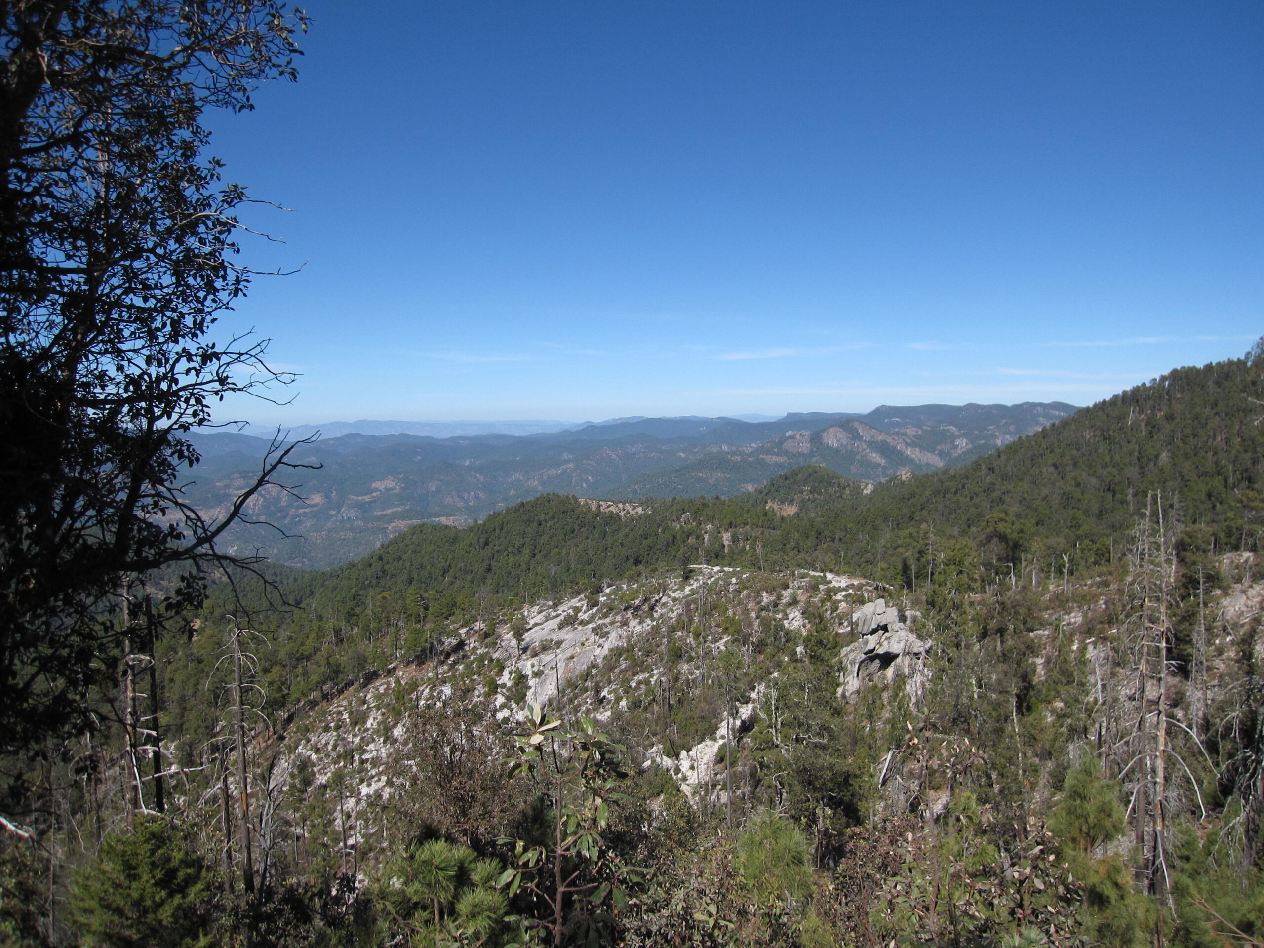 Los antiguos habitantes de la sierra del sur de Sinaloa. Ni tan fieros ...