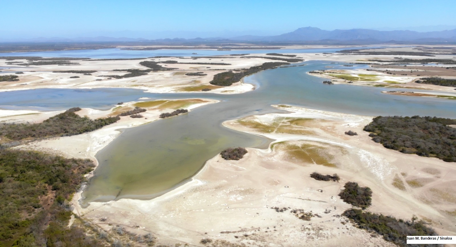 Decretan 13 nuevas Áreas Naturales Protegidas; una de ellas en ...