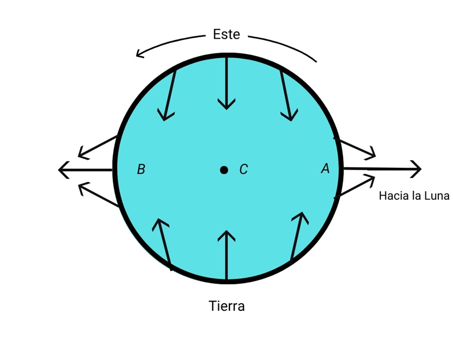 ¿Por qué se aleja el mar? Mareas bajas y su relación con las fases de ...